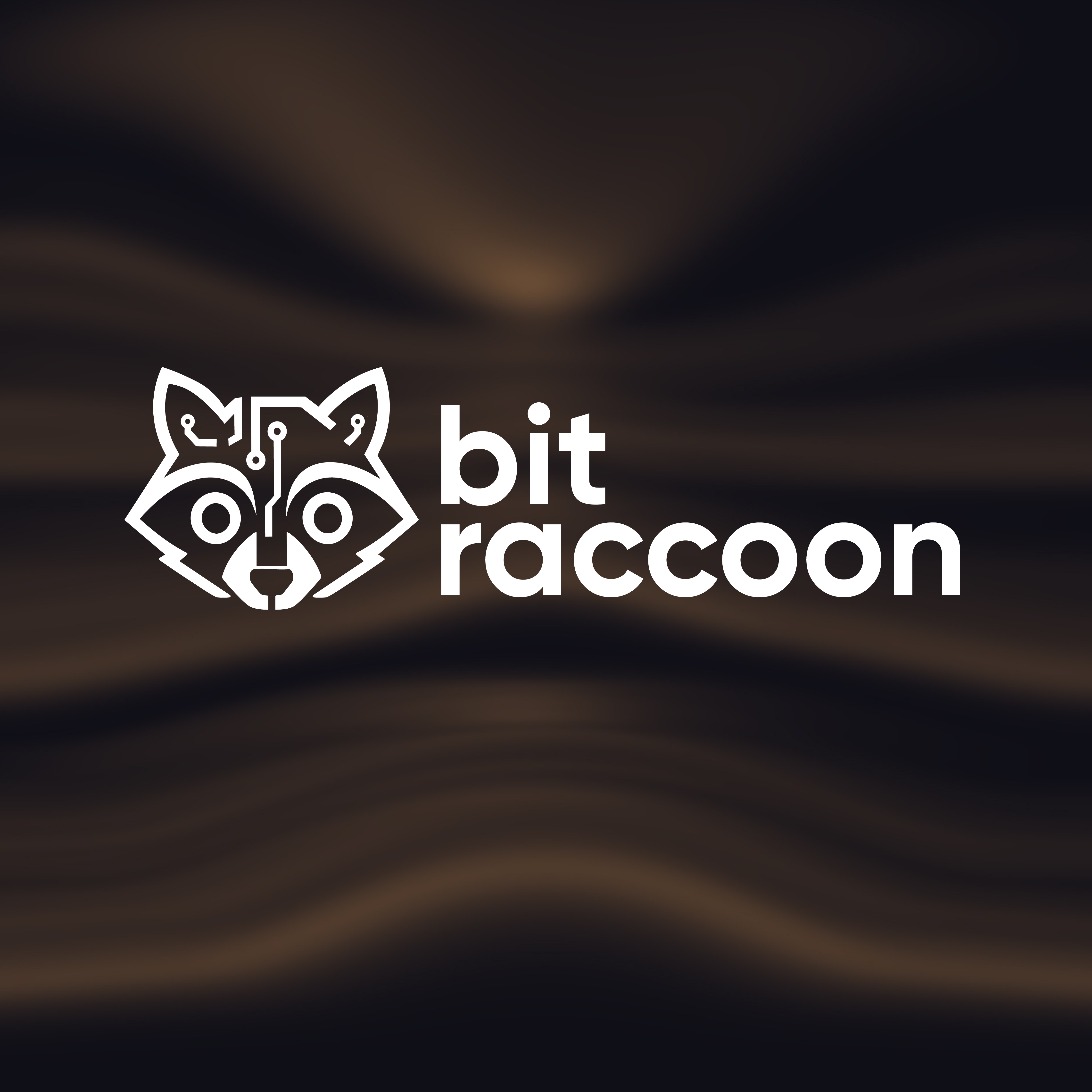 Bitraccoon - Bits of Brilliance, Built with Smart Instincts!